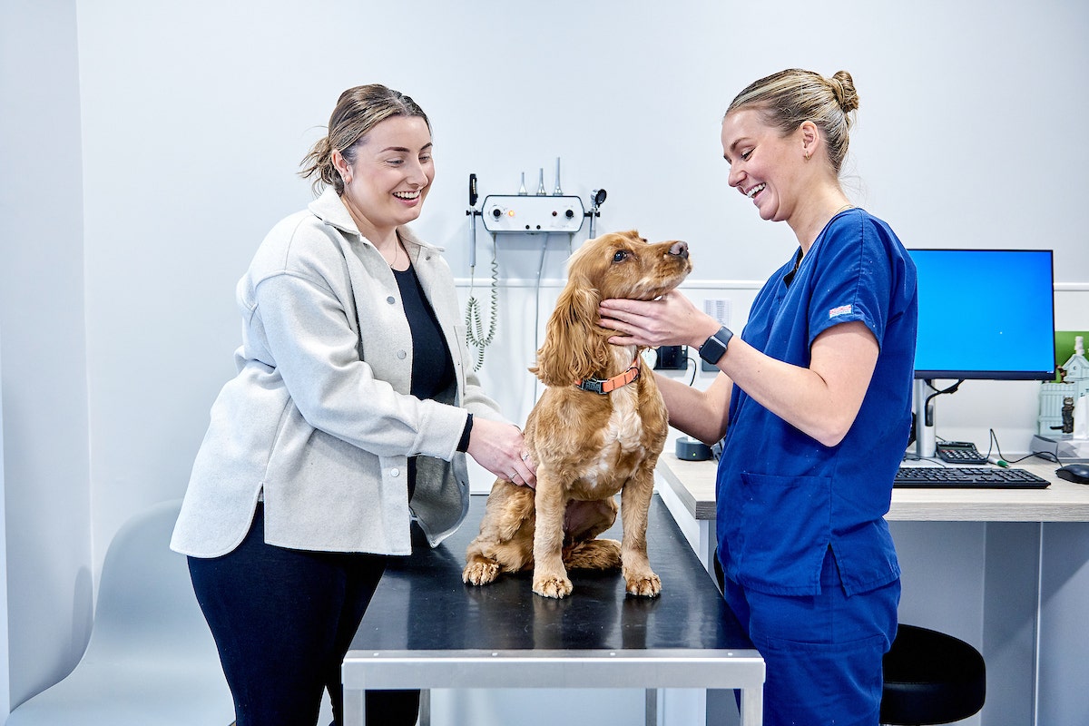 Our Strategy | CVS Group