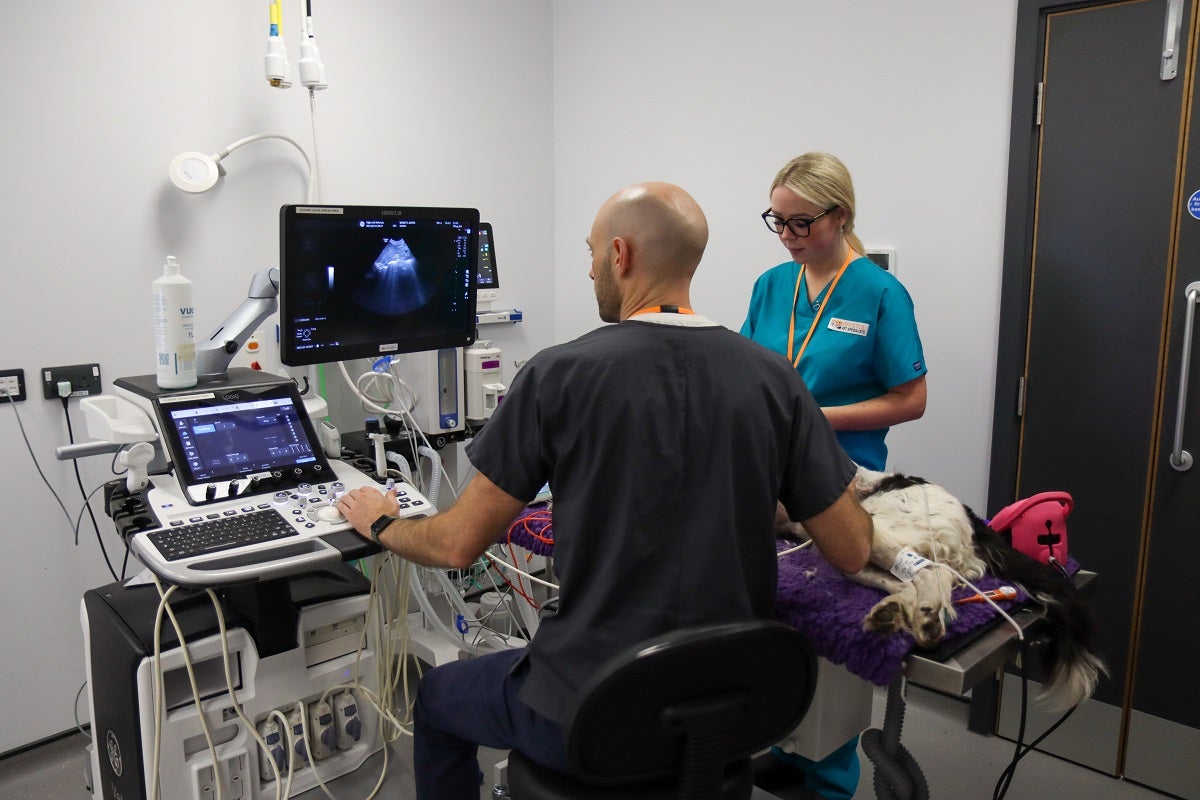 CVS improves clinical decision-making with revised Clinical Advisory ...
