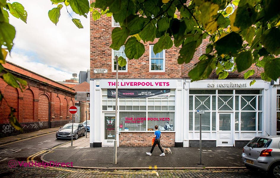 CVS acquires The Liverpool Vets | CVS Veterinary Group
