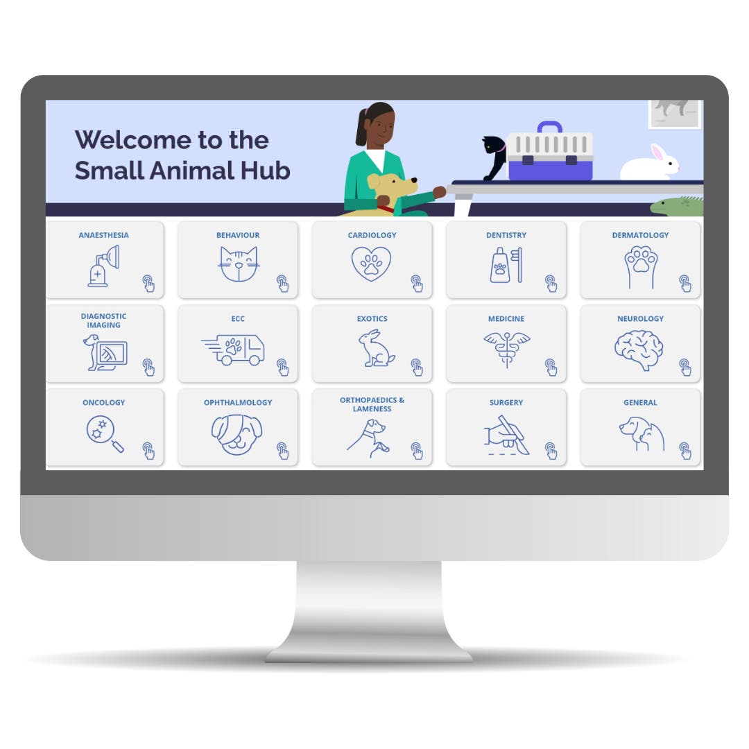 CVS launches industry-leading training portfolio for Small Animal Vets ...