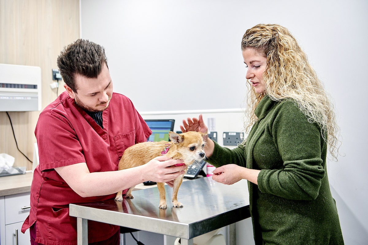 CVS announces groundbreaking Clinical Governance Framework | CVS ...