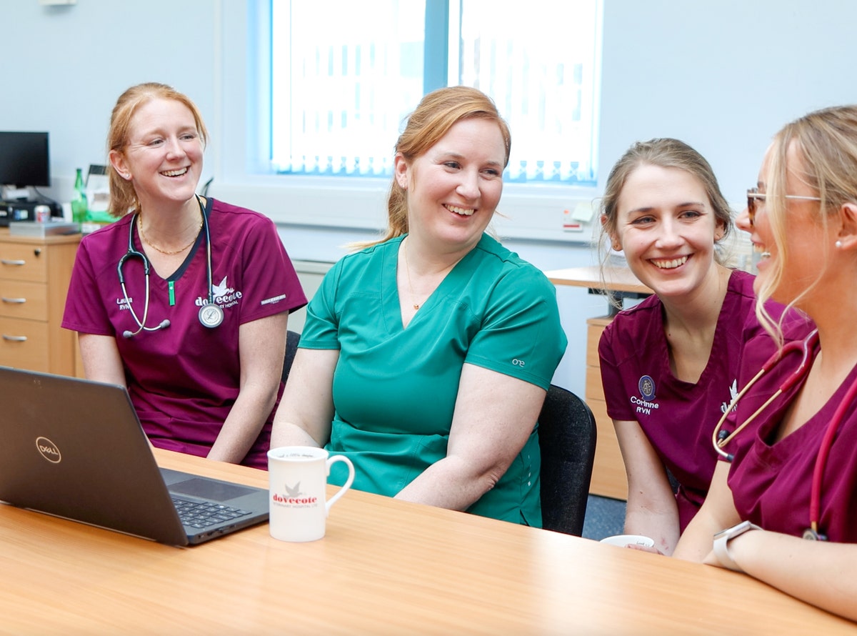 CVS launches new Nursing Career Pathway | CVS Veterinary Group