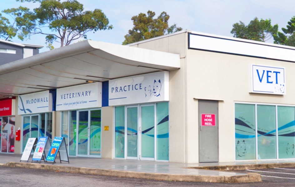 CVS enters Australian veterinary market | CVS Veterinary Group